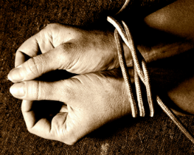 Bound - indoor-open-class